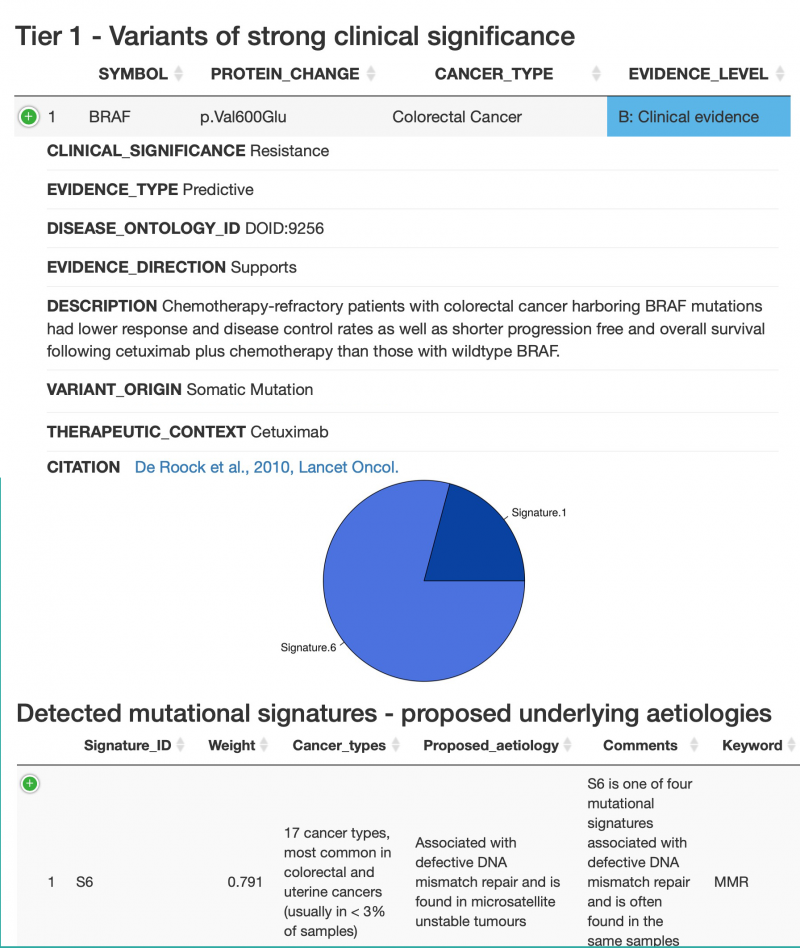 Comprehensive clinical report from molecular diagnostics in cancer ...